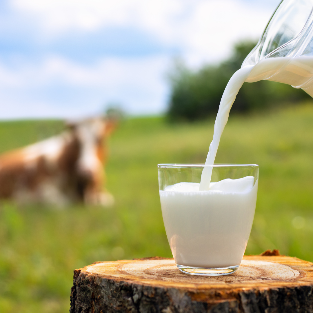 When To Introduce Milk To Baby